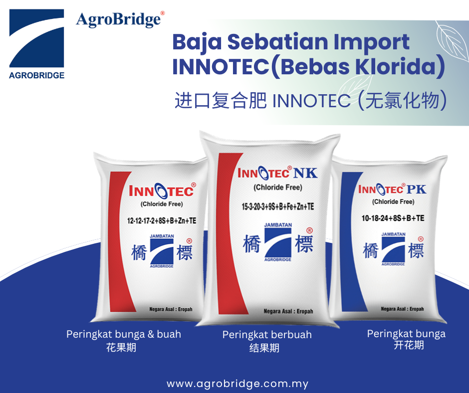 Mengapa Baja Bebas Klorida?