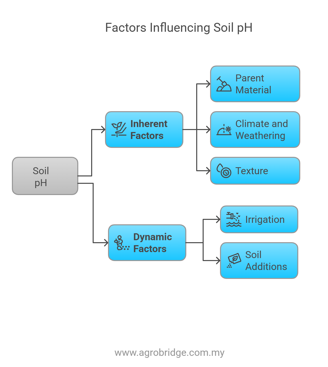 Understanding Soil pH: Factors and Solutions