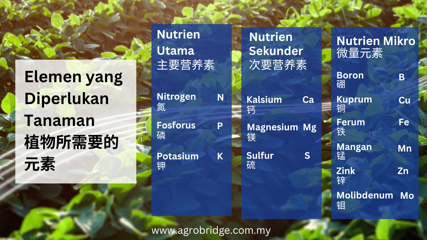 TRACE ELEMENTS IMPORTANT TO MAINTAIN OPTIMUM HEALTH & PLANT GROWTH